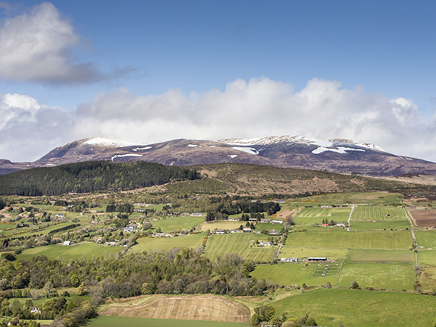 Larchfield Chalet 1 - Strathpeffer, Highland | Self Catering Holiday Lodges