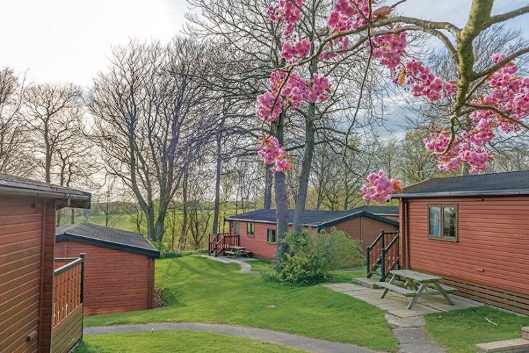 Crowhurst Park Lodges - Battle, East Sussex | Self Catering Holiday Lodges
