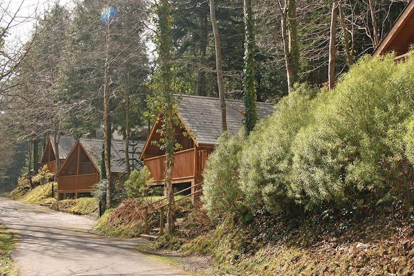 Bulworthy Forest Lodges - Bideford, Devon | Self Catering Holiday Lodges